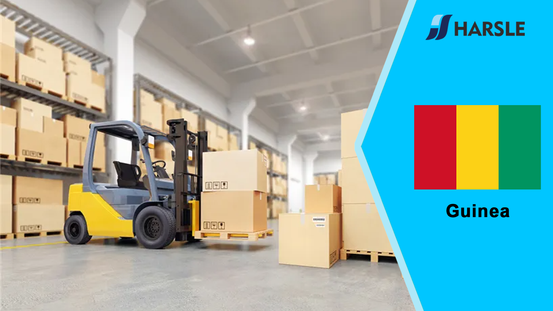 Guinea Shipment News | HARSLE